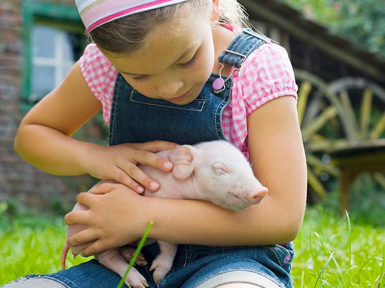 Baby Farm Animal Photos | Twin Cities Spring Babies Festival
